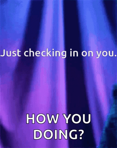 What Are U Doing Gif