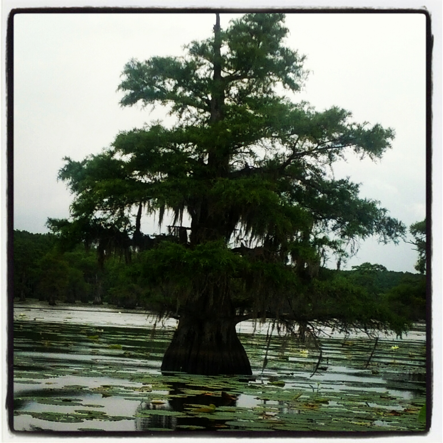 Finding Purpose as Praxis – techKNOWtools